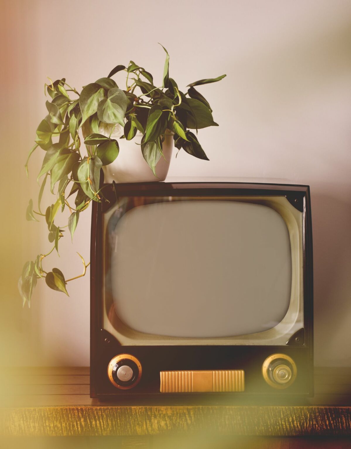 À quoi sert Vakita, le nouveau média d’Hugo Clément